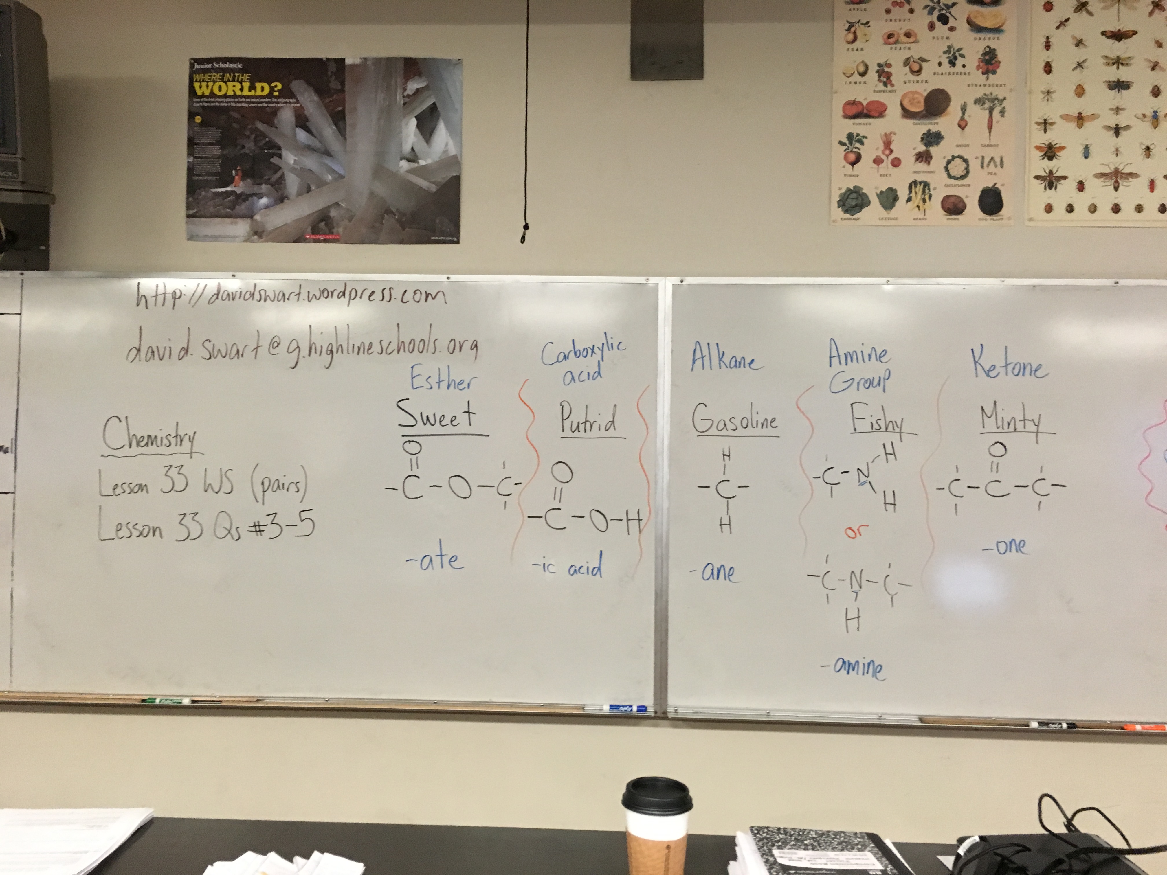Molecular Structure and Properties: Functional Groups | Science with Swart