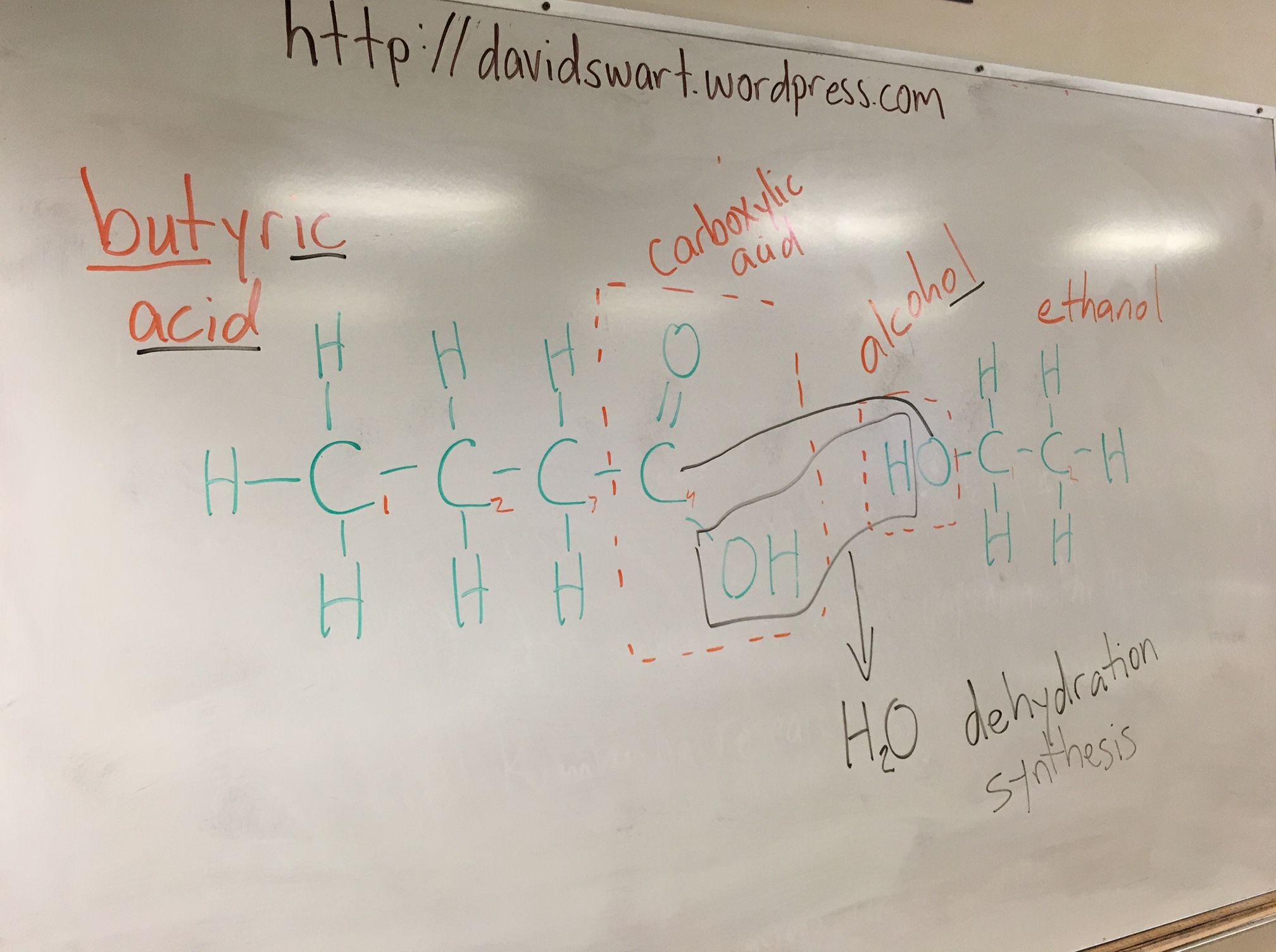 Molecular Structure and Properties: Key Vocabulary and Concepts ...