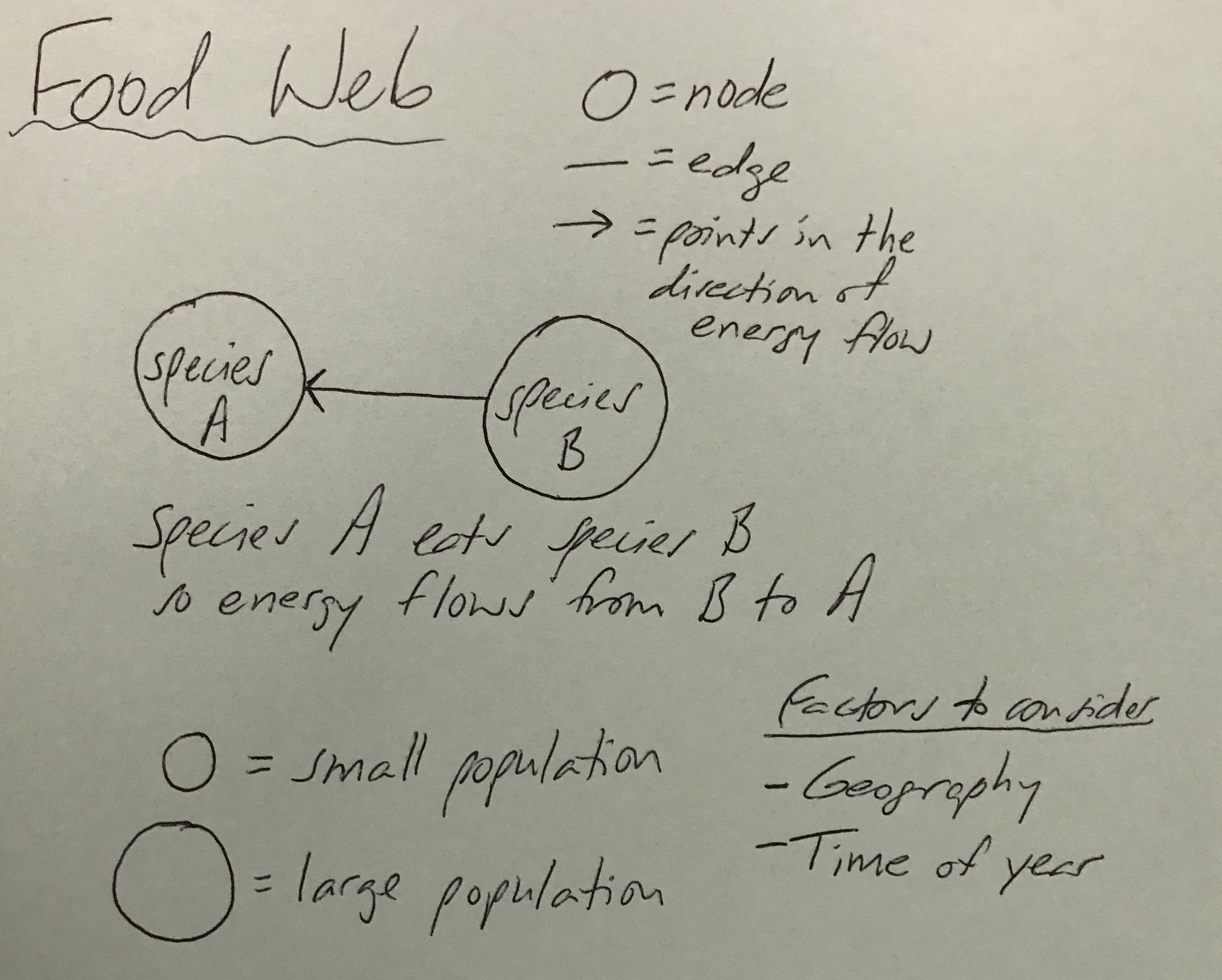 Yellowstone Food Web | Science with Swart