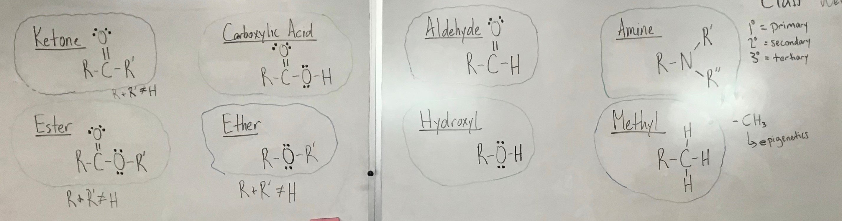 Functional Groups | Science with Swart