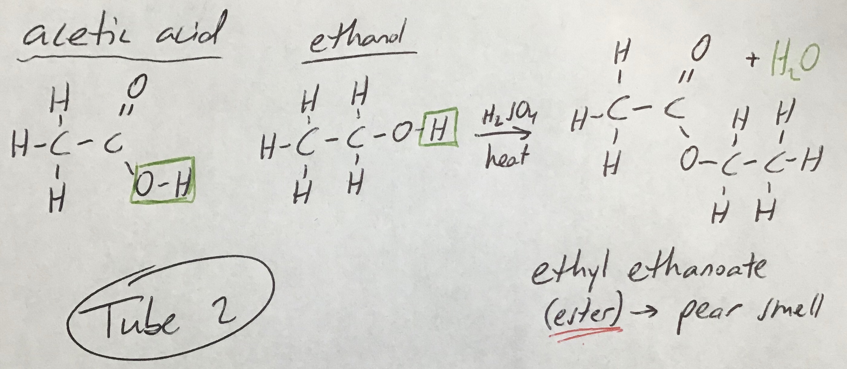 Analyzing Ester Synthesis | Science with Swart